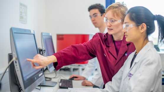 Carmine : The All-Natural Red Pigment from Cochineal Insects ...